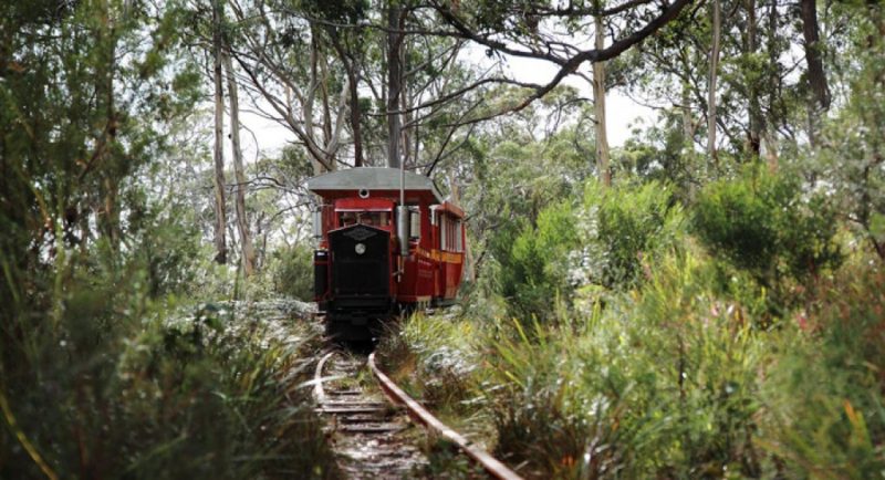 Ida Bay Railway™ – Australia’s Southern-most Railway, Lune River, Tasmania